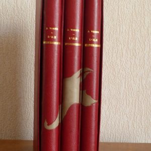 L'ile mystérieuse de Jules Verne - 2/4 - Reliure d'art dare